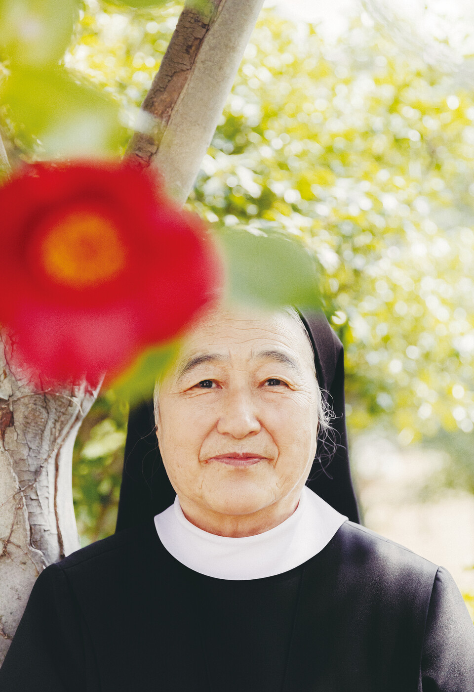 이해인 수녀 ②